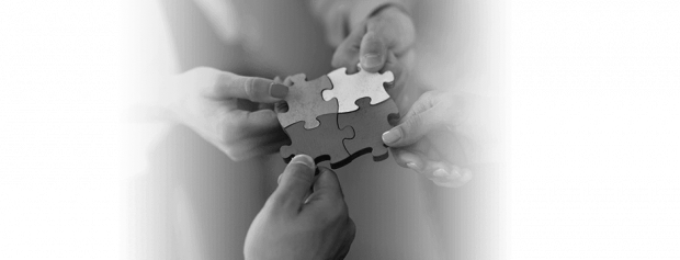 High Performing Teams | Conder & Co Limited